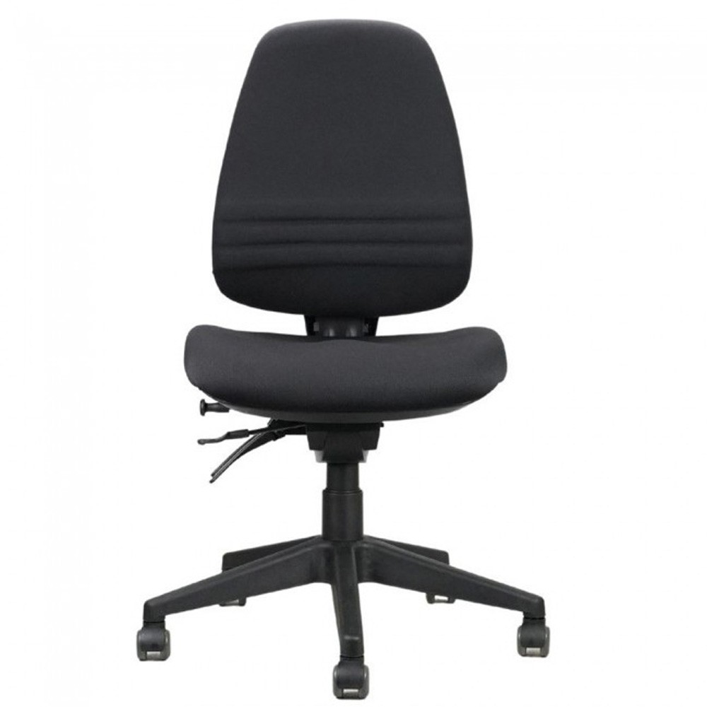 Endeavour Pro Ergonomic Chair | Apex