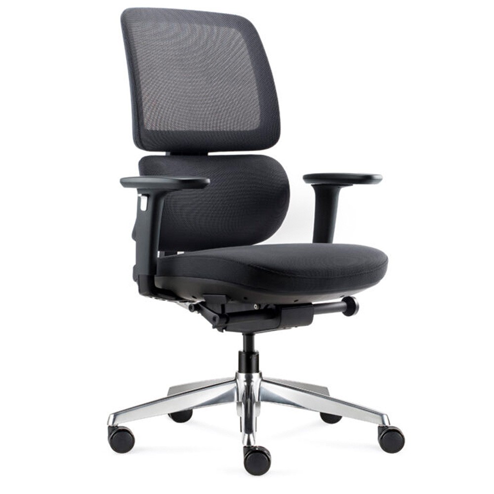 Orca Mesh Back Executive Office Chair | Apex